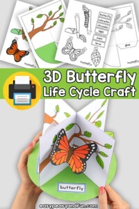 3D Butterfly Life Cycle Craft Free Printable - printcraftzone.com